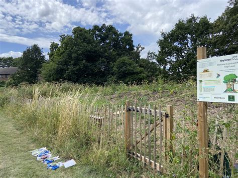 Ladywell Fields Lewisham Earthwatch Europe