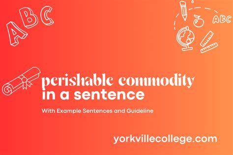 How To Use Perishable Commodity In A Sentence Easy Examples