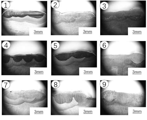 optical microscope morphology number ① ⑨ of cross section of cladding