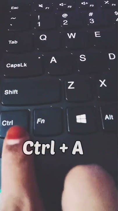 How To Select All Text Or Paragraph Keyboard Shorts Windows Pc Shortcut Javascript