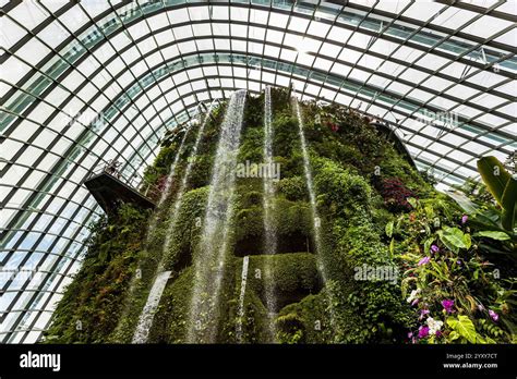 Indoor Waterfall The Cloud Forest Gardens By The Bay Singapore