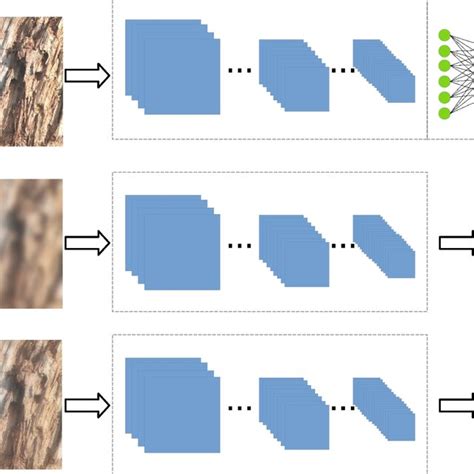 Proposed Method From Left To Right We Have The Input Texture The Download Scientific Diagram
