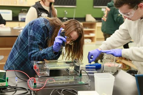 Unity At Pineland — Unity Environmental University University