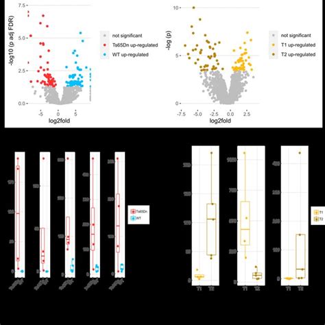 Differential Analysis Of Gene Expression A Volcano Plot Representation