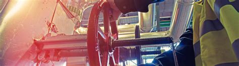 Integrating Gis And Sap 310 Improve Data Management With A Designated System Of Record Rizing