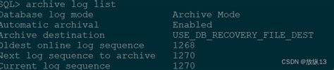 Linux下将oracle数据库设置为归档模式linux系统oracle开归档 Csdn博客