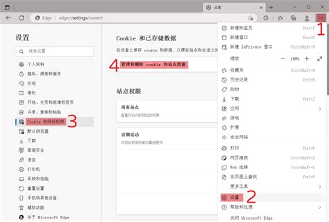 Python全套视频教程免费在线观看——小嗨视频课堂