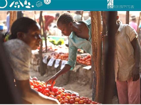 Promoting Food Security Through Innovative Rural Finance And Risk Man