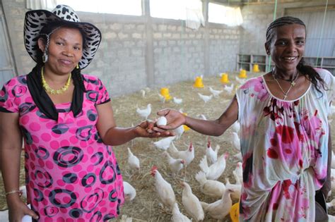 From Sex Worker To Farmer GoodFood World