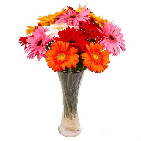 15 Mix Color Gerberas With Green Fillers Nicely Arranged In A Glass Vase