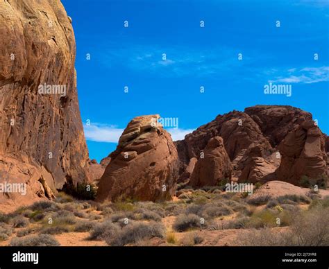 Panorama View Of The Famous Valley Of Fire State Park Red Sandstone