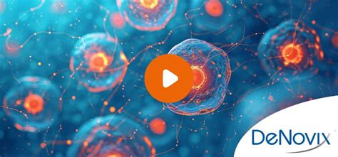 Top Tips For Optimizing Nuclei Extraction And Counting