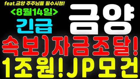 금양 주가전망 🔴긴급속보 기다렸던 소식 입니다 축하드립니다 금양 금양주가전망 금양주식전망 Youtube