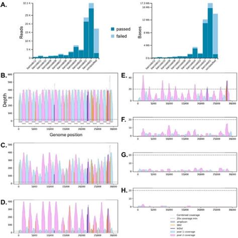 Simplified Point Of Care Full Sars Cov 2 Genome Sequencing Using Nanopore Technology