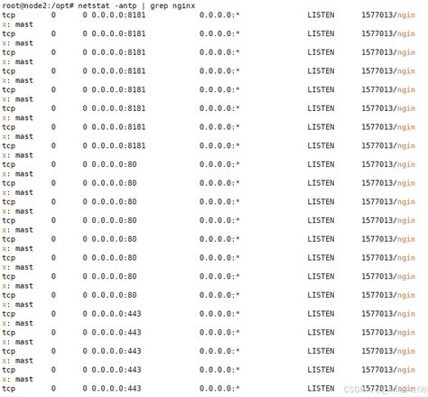 10、k8s对外服务之ingress ingress 端口 csdn博客
