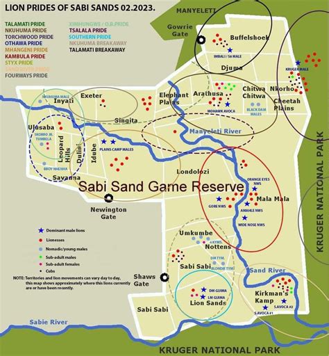 lion lovers on twitter a map of interest for those who love following the lions of sabi sands