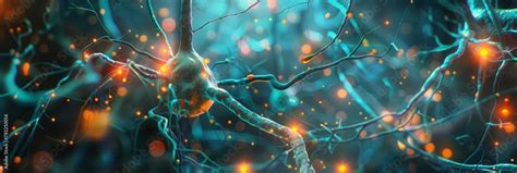 Neuronal Cells Are Connected To Each Other In A Network Via Synapses