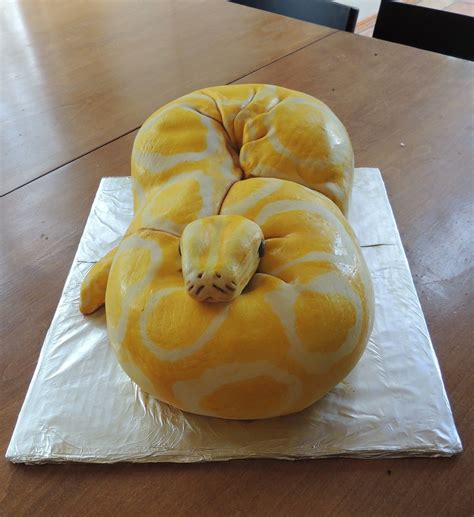 Albino Burmese Python Snake