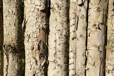 Premium Photo A Fence Is Made Of Vertical Logs
