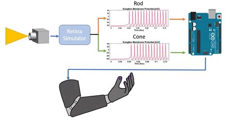 Code Neuromorphic Computing Group