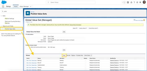 How To Add New Picklist Values For Stages And Team Roles — Knowledge