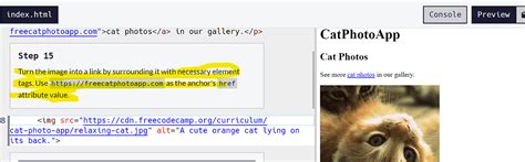 Learn HTML By Building A Cat Photo App Step HTML CSS The FreeCodeCamp Forum
