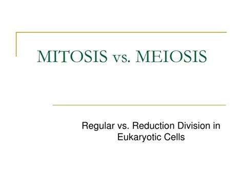 Ppt Mitosis Vs Meiosis Powerpoint Presentation Free Download Id