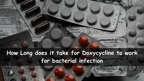 How Long Does It Take For Doxycycline To Work