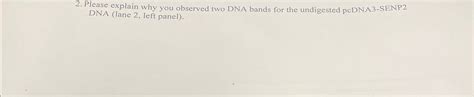 solved please explain why you observed two dna bands for the