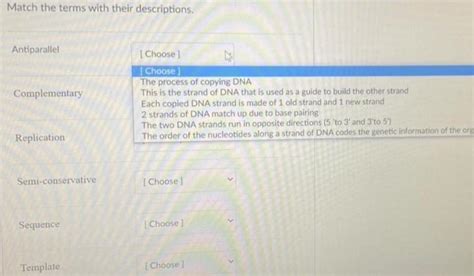 [answered] match the terms with their descriptions antiparallel kunduz