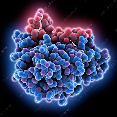Rna Complexed With Yth Domain Stock Image C035 6285 Science Photo