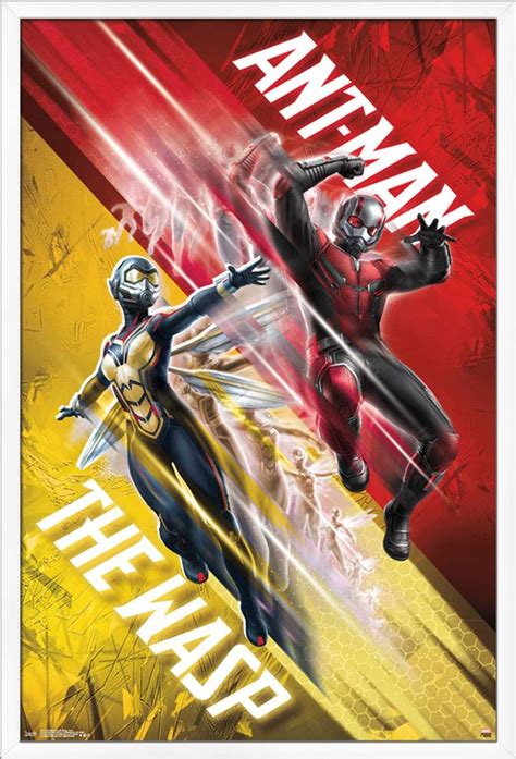 Marvel Cinematic Universe Ant Man And The Wasp Duo Wall Poster 22 375 X 34 Framed