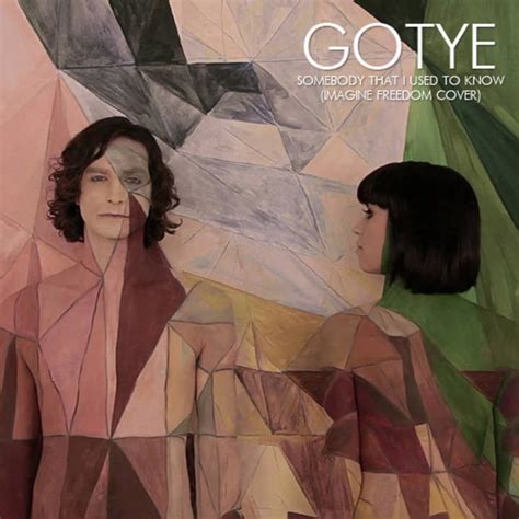 Somebody That I Used To Know Gotye Cover Imagine Freedom