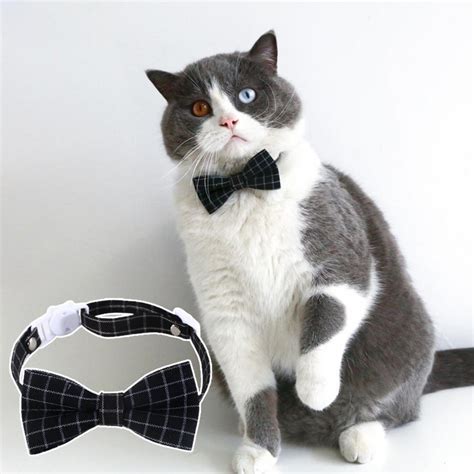 Badu Bg Атрактивна шапка за завършване на домашен любимец Лесна за носене филц за домашна котка