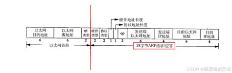 【网络】数据链路层（以太网帧格式、mtu、arp）、nat、内网穿透数据链路层的帧是mac帧吗 Csdn博客