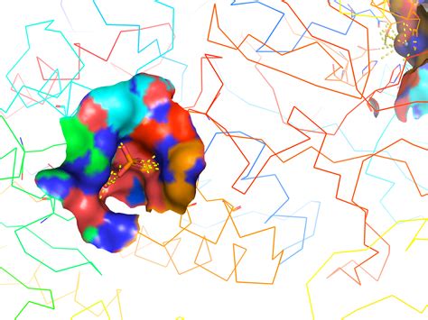 表示形式のプリセット Pymol Book