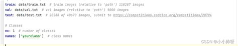 yolo air使用，训练自己的数据集 yoloair教程 csdn博客