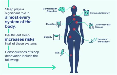 Polyphasic Sleep The Unorthodox Sleeping Pattern Behind Productivity