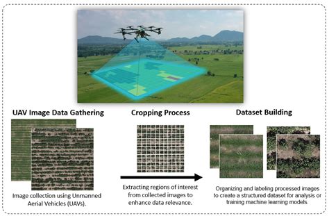 About Me Robin Eshraghi