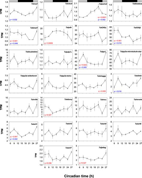 Temporal Expression Profiles Of Gene Transcripts In The Brains Of