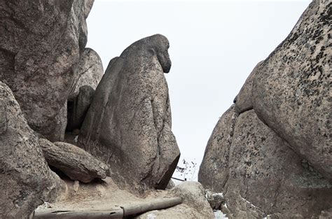 원숭이와 고릴라 바위 공개