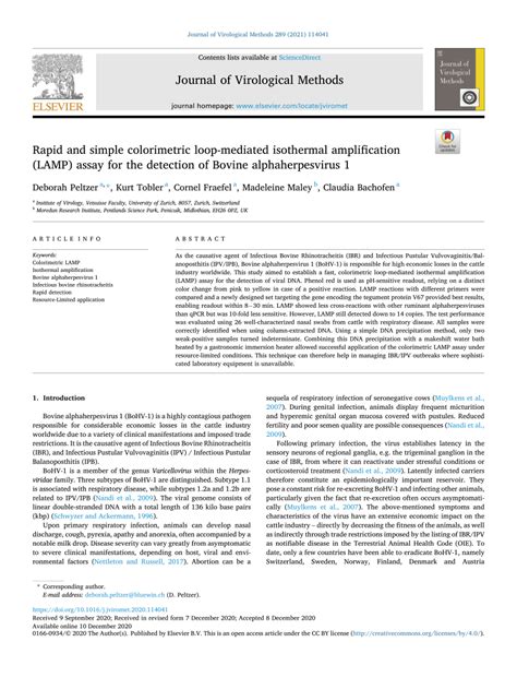 Pdf Rapid And Simple Colorimetric Loop Mediated Isothermal Amplification Lamp Assay For The
