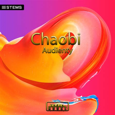 Audienty By Chaobi On Mp3 Wav Flac Aiff And Alac At Juno Download