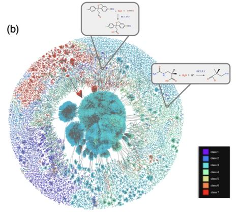 A General Model For Predicting Enzyme Functions