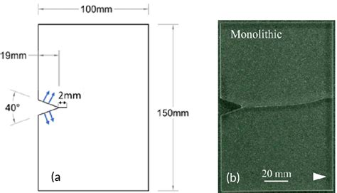 figure 4 from uncovering the dynamic fracture behavior of pmma with peridynamics the importance