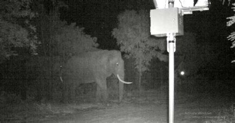 Elephant Warning System Dakshiya Technologies