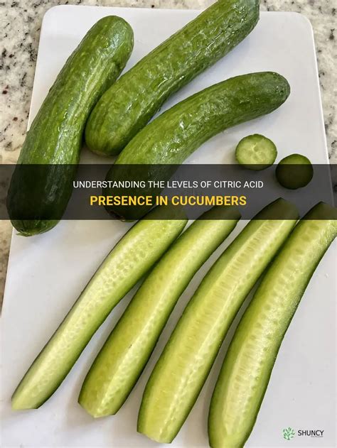 Understanding The Levels Of Citric Acid Presence In Cucumbers Shuncy