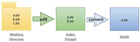 Repository Branch