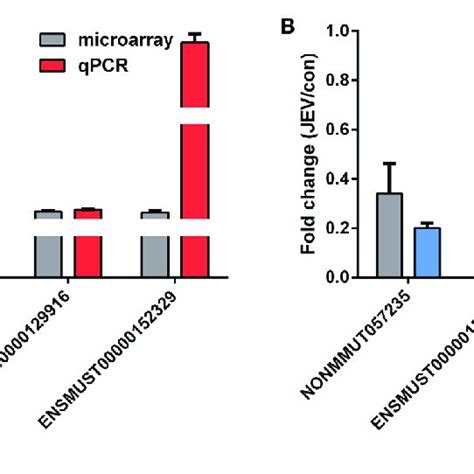 Validation Of The Microarray Data Using Quantitative Real Time Pcr