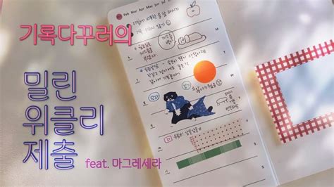 밀린 위클리 다꾸 같이 써볼까 기록 다꾸러의 위클리 꾸미기 다꾸 위클리다이어리 플래너 마그레세라 다꾸하울 Youtube